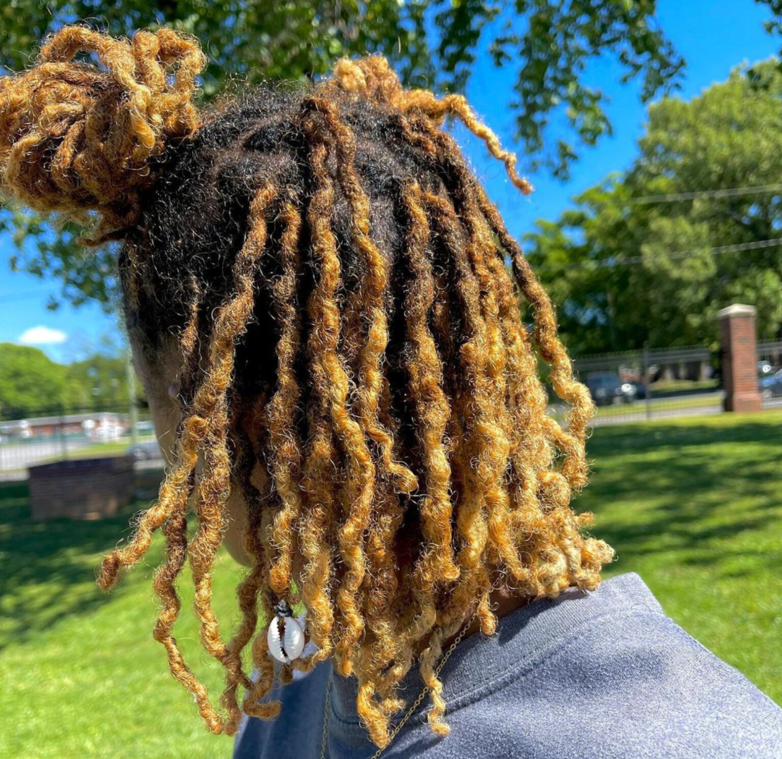 How Much Do Starter Locs Cost? - Hood MWR