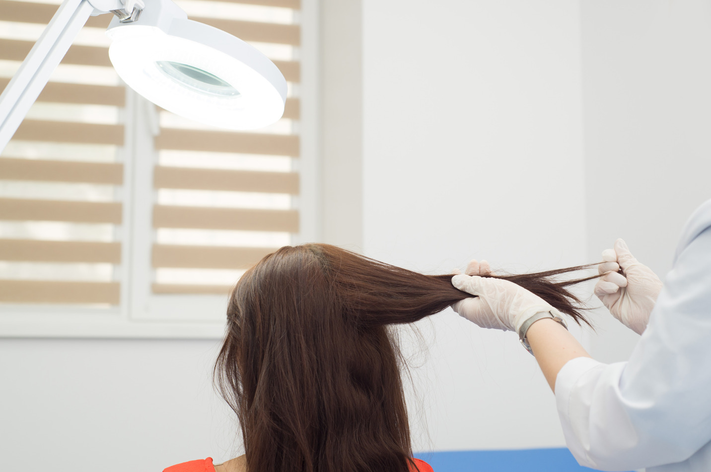 What Is The Bleach To Developer Ratio? Basic Guide - Hood MWR